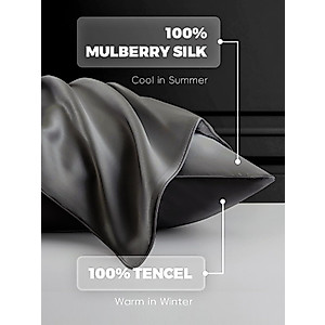 Mulberry Silk Pillowcase for Hair and Skin, SGMSILK 22 Momme Natural Silk Pillow Cases with Zipper, 6A Soft and Smooth Single Sided Pure Silk Pillow Cover (Dark Gray, Queen 20"x30")