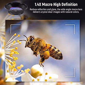 NEEWER 49mm 0.43X Fisheye & 1.4X Macro Lens, 18mm Focus Compatible with Canon EOS Kiss M2 RP R10, 40.5-49mm Adapter Ring (not Included) Needed for Sony ZV-E10 A6400 A7 IV Nikon Z50, LS-20