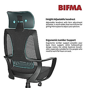 FEZIBO Office Chair Desk Chair Computer Chair Swivel Rolling Task Chair High Back Ergonomic Conference Room Chair Adjustable Mesh Work Study Chair with Armrest for Adults, Black