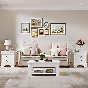 Yaheetech Fully-Assembled Nightstands Set of 2, 2-Drawer Nightstands Large Classic Bedside Tables with Storage, Wooden Painted Storage Cabinet for Bedroom, 21.5″L×16″W×24.5″H, White