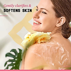 Alaffia Authentic African Black Soap Variety 2-Pack – All-In-One Liquid Soap, Travel-Size Eucalyptus Tea Tree + Full-Size Tangerine Citrus Body Wash, Face Wash, Shampoo, Shaving Soap