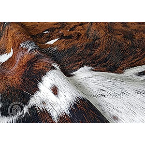 Genuine Tricolor Cowhide Rug Approx. 6 x 7-8 ft. 180 x 220 cm