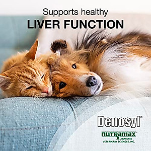 Nutramax Denosyl Liver and Brain Health Supplement for Small Dogs and Cats, With S-Adenosylmethionine (SAMe), 30 Tablets