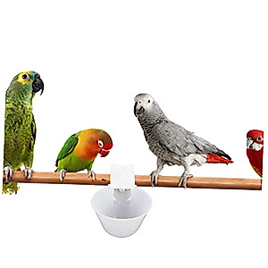 FONDOTIN 10 Sets Pigeon Drinker Poultry Waterer Food Serving Tray Bird Cage Chicken Drinking Tool Clear Drinking Glasses Pet Drinking Holder Bird Supplies Water Birdfeeder White Plastic