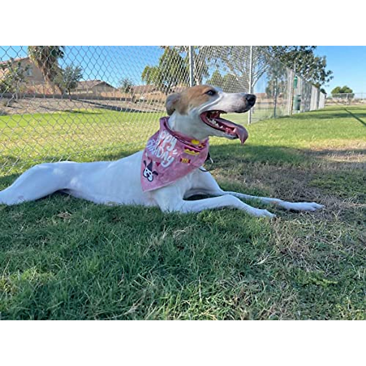 Elegant little tail Dog Bandanas - 1Pack Brithday Gift Washable Female Dog Scarf Square Dog Bib Kerchief Scarf Adjustable pet Bandana for Medium Large Girl Dogs