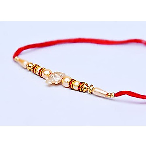 AVN GROUP Set Of 2 Rakhi for Brother turtles Designs Beautiful Traditional Handmade Rakhi | Stones Beautiful Raksha Bandhan Gift for Brother, Multi, 12 x 0.5 x 0.5 inches