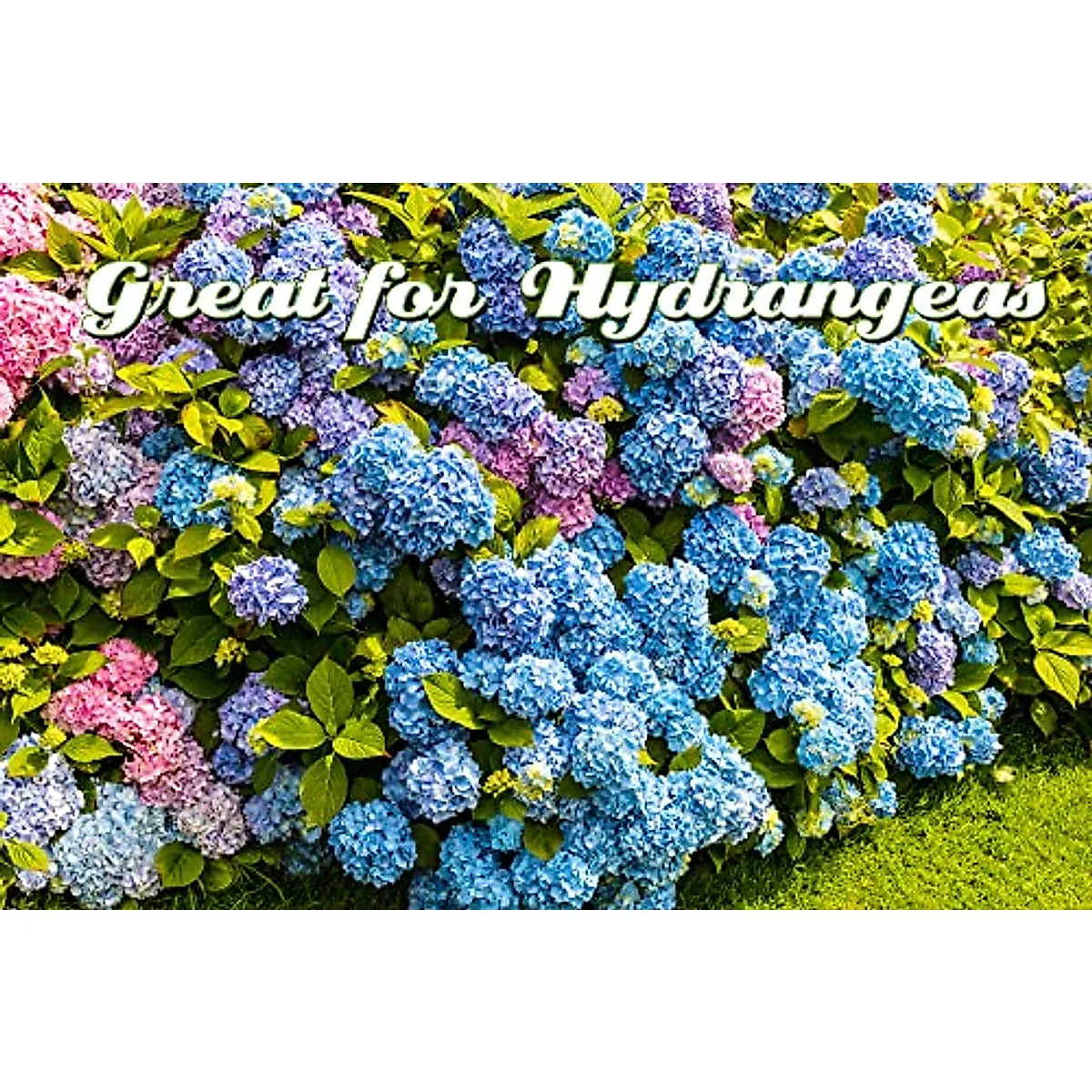 I Must Garden Soil Sulfur Pellets: Organic Soil Acidifier | Naturally Promotes Lush Growth – 5lb Shaker Jar