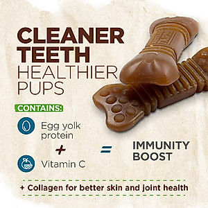 Natural Farm All-Natural Dog Dental Chew, Dog Teeth Cleaning Treats - Fresh Breath, Fight Plaque & Tartar - Canine Mess-Free Oral Care, Teeth Cleaning Chews for Dogs 5-15 Lbs (66 Counts)