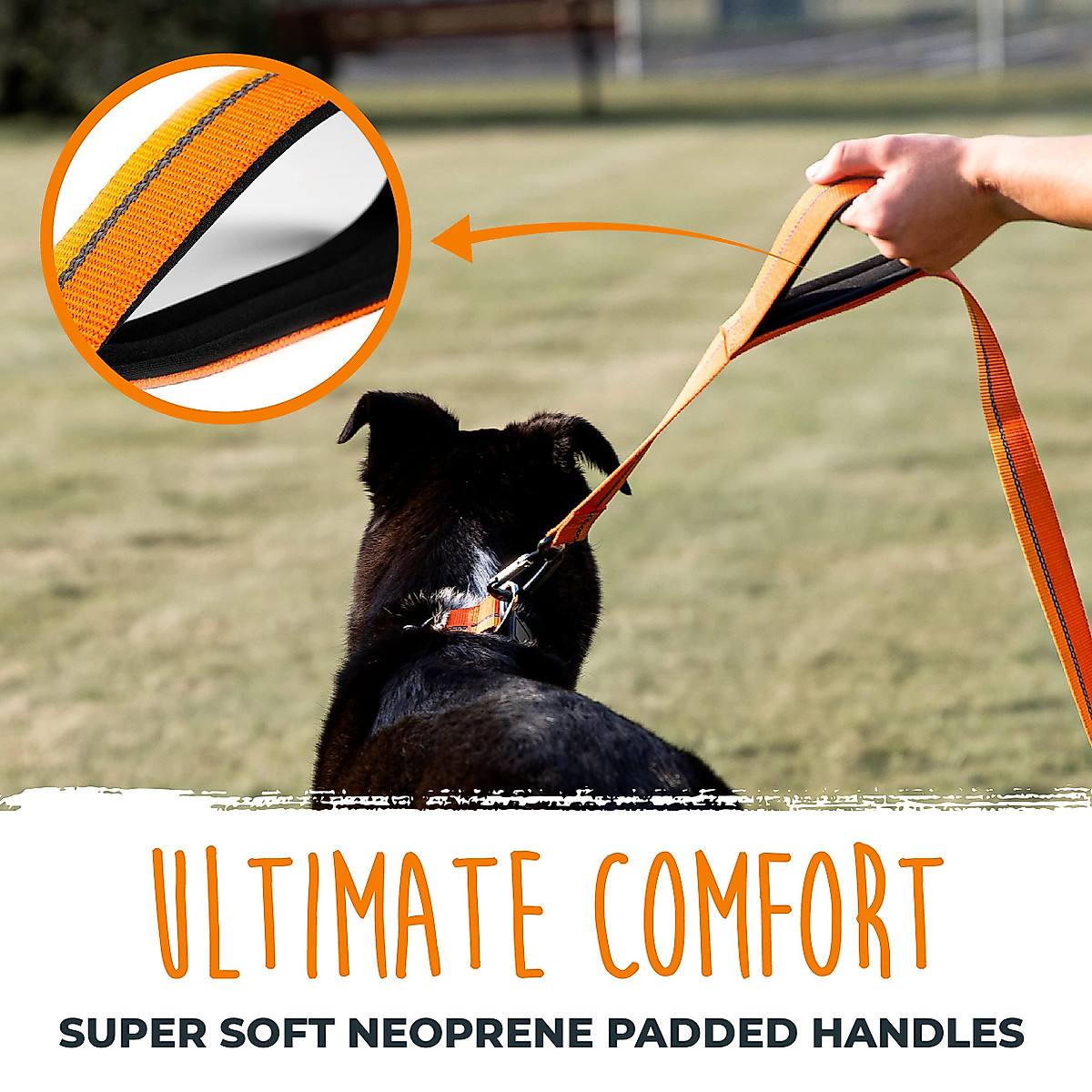 Mighty Paw Two Handle Dog Leash - Extra Control When You Need - Strong Climbers Carabiner - Super Soft Neoprene Padded Handles for Ultimate Comfort - Easy & Convenient - Reflective Stitching - Orange