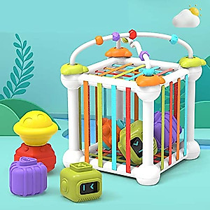 Activity Cubes Montessori Toys, Colorful Brain Sensory Bin Toy Portable Toddler Sensory Bin Toy, Baby Shape Sorter Toy for 1 Year Old Early Development Activity Toys