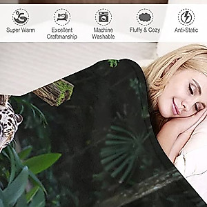 White Tiger Rest in Forest Throw Blanket for Couch Bed Flannel Lap Blanket Lightweight Cozy Plush Blanket for All Seasons 50"x70"