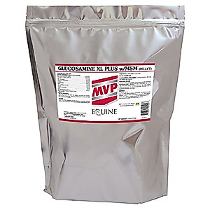 Glucosamine XL +MSM (5lb) for Equine Joint Support