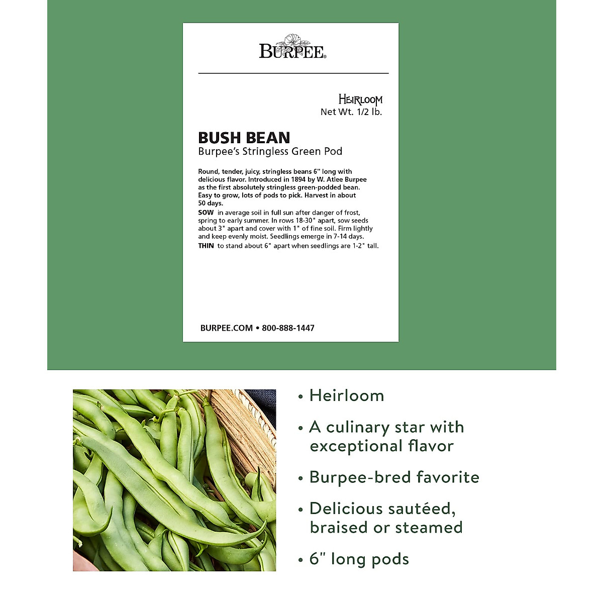 Burpee Stringless Green Pod Bush Bean Seeds 8 ounces of seed