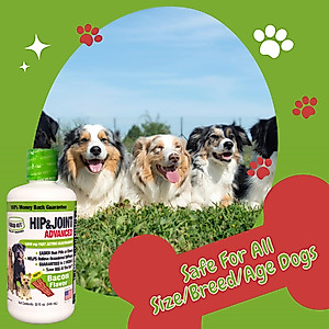 Liquid-Vet by COOL PET Holistics K9 Hip & Joint Advanced Formula, Bacon Flavor, 32 oz