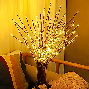 ZLYPSW The Light Garden Floral LED Willow Branch Lamp Battery-Operated 20 Bulbs for Home Christmas Party Garden Decoration