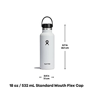 Hydro Flask Aluminum Standard Mouth Bottle with Flex Cap, Black