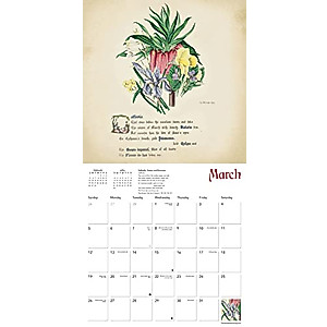 Shakespeare Birthplace Trust: The Flowers of Shakespeare Wall Calendar 2023 (Art Calendar)