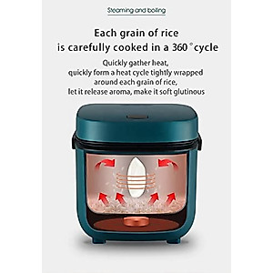 ANNAPURNA DISTRIBUTOR Mini Rice Cooker, Healthy Ceramic Coating 1.2L Small Rice Cooker hold 1-2.5 cups uncooked rice for 1-3 People, Portable Travel Rice Cooker with Steam Tray, Easy to use. (Green)