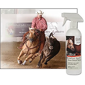 UltraCruz Equine Show Polish Spray for Horses, 16 oz