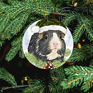 Customized Christmas Tree Decoration - Guinea Pig in Santa Hat, 3" Xmas Pet Present & Stocking Stuffer Gift
