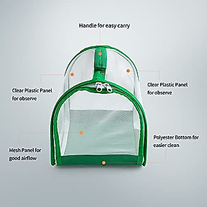 Small Butterfly Habitat, Insect Mesh Cage, Caterpillar Enclosure, Critter Cage, Bug Terrarium Portable Carry Handle Easy to Observe 8 x 8 x 8 Inches