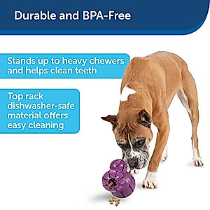 PetSafe Busy Buddy Barnacle - Dog Chew Toy - Treat Dispensing Dog Toys Purple Large