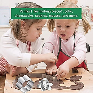 Hemoton 3 Sets Small Mousse Circle Mousse with Pusher Plum Mousse Molds Cooking Rings DIY Cookie Moulds Perforated Pastry Rings Cake Mousse Rings Simple Cake Mold Stainless Steel