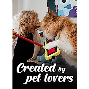 LeBRUSH 2.0 Pet Hair Remover for Carpet for Short & Long Cat, Dog Hair | Remover for Carpet & Couch, Carpet Rake, Pet Hair Removal Tool, Carpet Broom, Pet Hair Rake, Dog Fur Remover