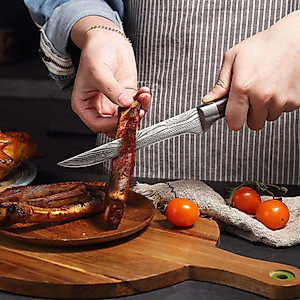 PAUDIN Boning Knife 6 Inch, Super Sharp Fillet Knife, German High Carbon Stainless Steel Deboning Knife, Professional Boning Knife for Meat Poultry Chicken, Pakkawood Handle with Gift Box