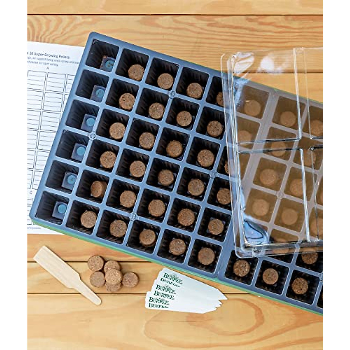 Burpee Self-Watering Seed Starter Tray, 72 Cells & SuperSeed Seed Starting Tray | 16 XL Cell | Reusable & Dishwasher Safe | for Starting Vegetable Seeds, Flower Seeds & Herb Seeds | Indoor Grow Kit