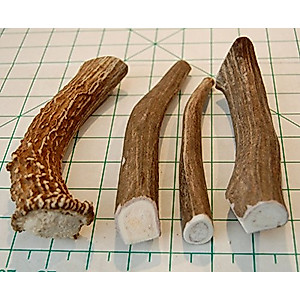Premium Deer Antler Pieces - Dog Chews - Antlers by The Pound, One Pound - Six Inches or Longer - Medium, Large and XL - Happy Dog Guarantee!