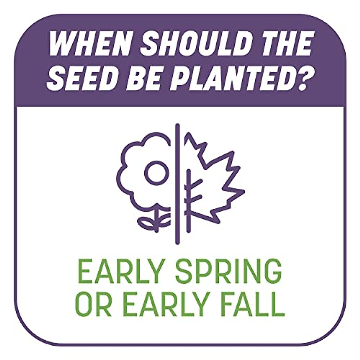 Pennington Smart Patch Dense Shade Mix Jug 5 lb