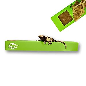 GECKOPIA Reptile Flex Bridge | Reptile Bridge | Gecko Bridge | Gecko Ledge | Reptile Vine | Reptile Terrarium Decoration | Reptile Branch Alternative (Green)