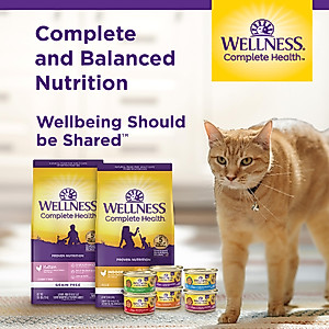 Wellness Natural Pet Food Complete Health Grain-Free Indoor Deboned Chicken Recipe Dry Cat Food, 5.5 Pound Bag