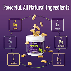 Pawlific Electrolyte Chews for Dogs- Superior Pet Hydration Support, Anti-Diarrhea, and Dog Vitamins | All-Natural Ingredients, Made in the USA | 3-Month Supply for Active Dogs