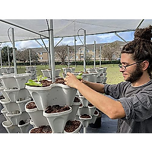 Harvest Hero Enhanced Perlite Soil Mix with Diatomaceous Earth & Essential Nutrients – Promotes Robust & Vigorous Growth for Indoor & Outdoor Plants, Transplanting, Garden Beds & Seedlings (16 QT)