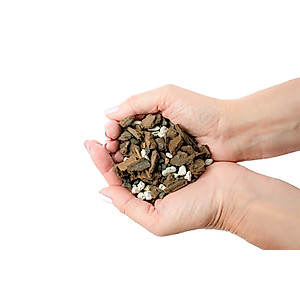 Premium Bonsai Soil All Purpose Fast Draining Mix - Pumice, Lava, Calcined Clay and Pine Bark Potting Pre Mixed Bonsai Plant Soil Mixture by GARDENERA - Made in USA - (1 Quart Bag)