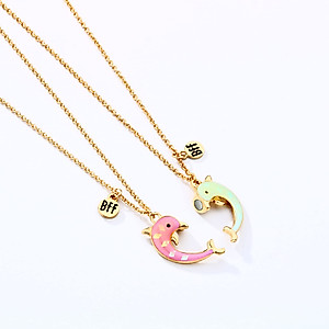 DOYYCA Best Friend Necklace Gifts Magnetic Matching Friendship Necklace for 2 BFF Sister (Dolphin)