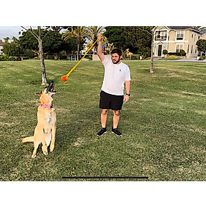 Runball Dog Rope Toy with Ball for Tug of War, Training, Fetch, Interactive Pull Toy, Teeth Cleaning Ball for Medium and Large Dogs, 10 Foot Rope and 2.75 Inch Ball