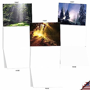 The Best Card Company - 20 Landscape Nature Note Cards Blank (4 x 5.12 Inch) (10 Designs, 2 Each) - Shining Through AM1735OCB-B2x10