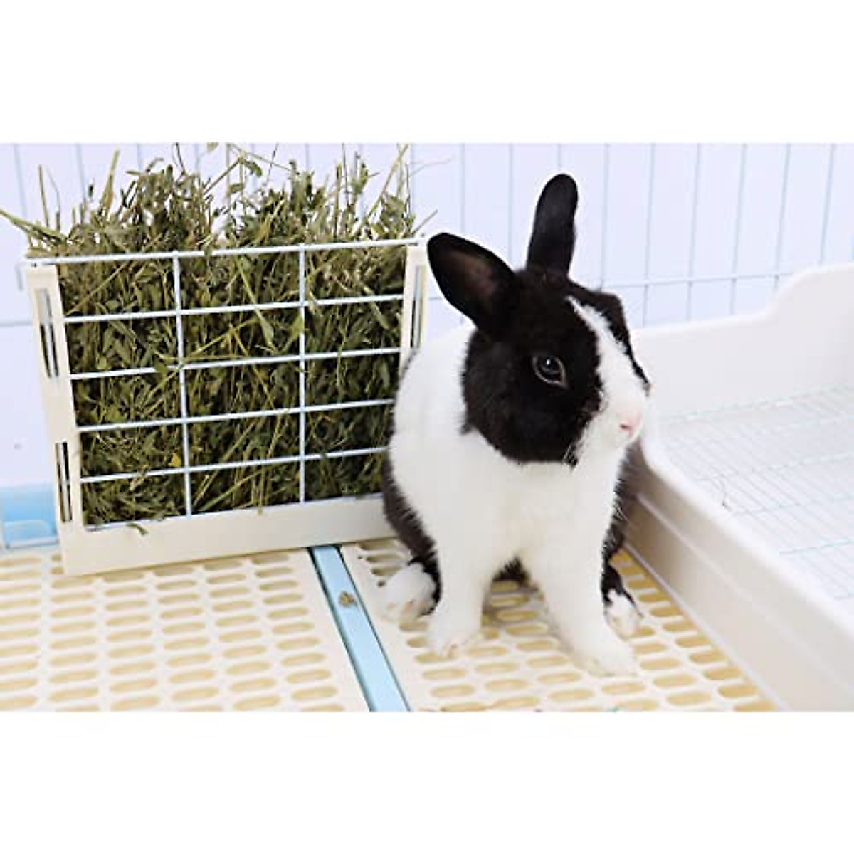 RUBYHOME Hay Feeder for Rabbits, Guinea Pigs, and Chinchillas - Minimize Waste and Mess with 9 1/4" x 3 3/4" x 8" Hanging Alfalfa and Timothy Hay Dispenser (White)