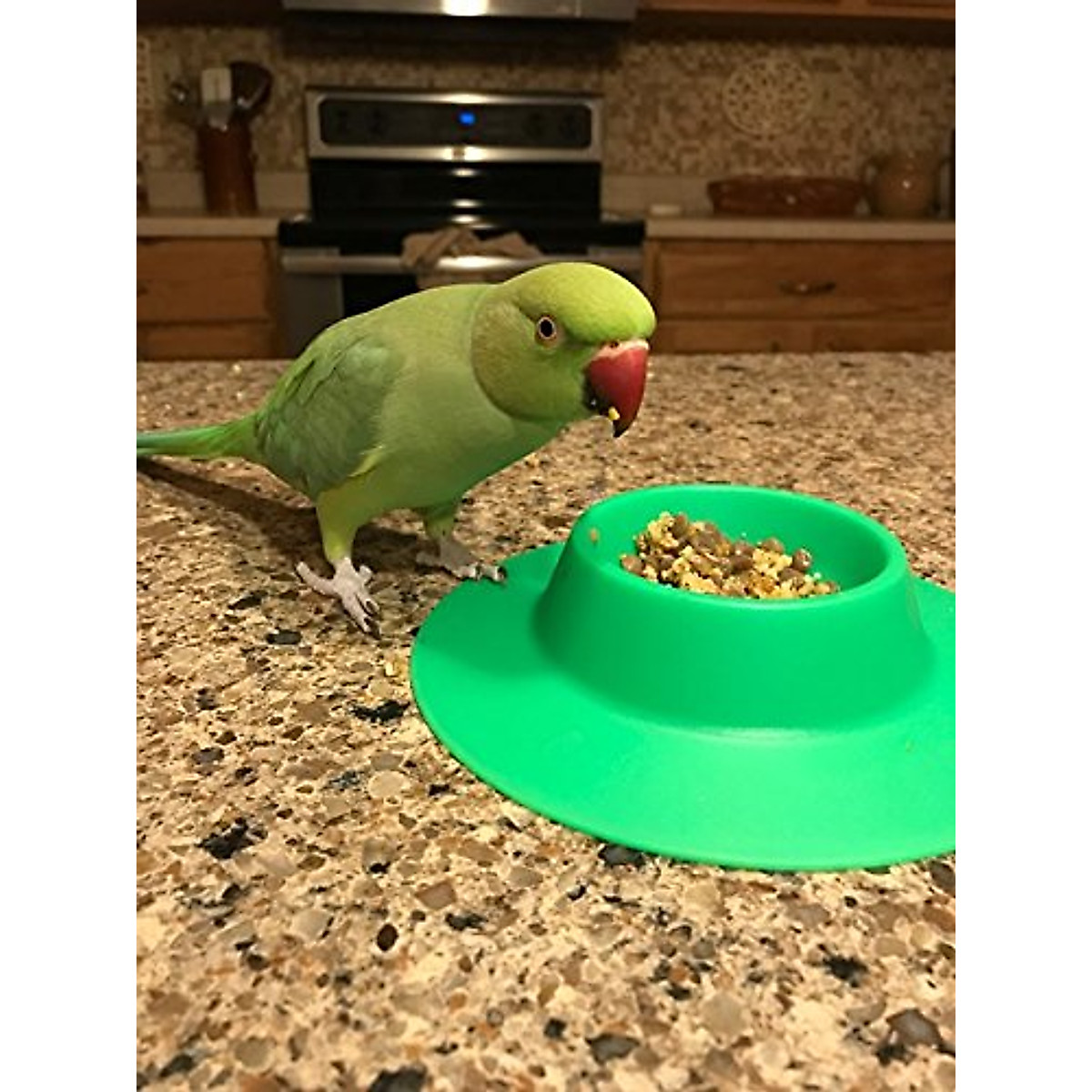 STAYbowl Tip-Proof Ergonomic Pet Bowl for Guinea Pig and Other Small Pets, 1/4-Cup Small Size, Spring Green