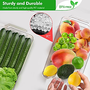 Lunhoo Refrigerator Organizer Bin, Clear Food Container with Handle, Plastic Storage Bins for Refrigerator, Kitchen, Cabinet (3 Pack, Transparent)