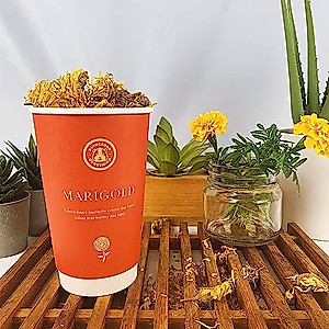 GuineaDad Organic Guinea Pig Herbal Treats - Guinea Pig Food with Convenient Packaging - Marigold Flavor - 1.2-oz - Guinea Pig Treats Help with Bonding - High in Nutrition, Immune Support - Small