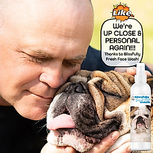 The Blissful Dog Blissfully Fresh Face Wash - Cleans Facial Folds and Wrinkles, 4-Ounce, Bulldog