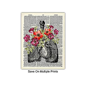 Heart, Skull, Brain, Lungs, Kidney, Liver Wall Art Decor - Human Anatomy Room Decorations - Medical Office Decor - Shabby Chic Gift for for Doctor, Nurse, Women, RN - Poster Picture Prints Set