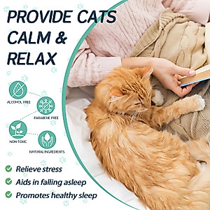 IPOTAO Cat Melatonin - Cat Calming Products for Stress & Anxiety Relief, Melatonin for Cats' Sleep Aid, Cat Relaxer Calming Drops, Support Restful Sleep for Your Cat, 1 fl oz