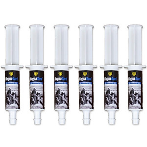 MagnaGard Pre-Performance Calming Paste for Horses - All Natural Gastric Support by Eagle Equine (6 Pack)