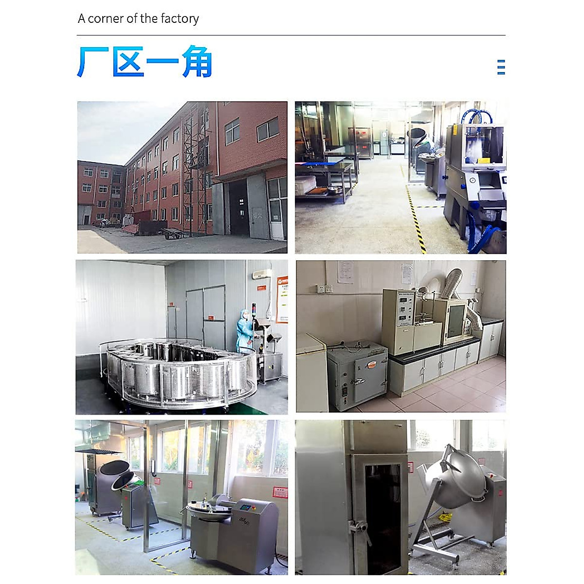 WonderLand Herbs Alfalfa Extract Powder Alfalfa flavone 5%, 35.3 Oz, Water-Dissolvent