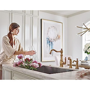 Moen Brushed Gold Sip Traditional Cold Water Kitchen Beverage Faucet with Optional Filtration System, S5510BG